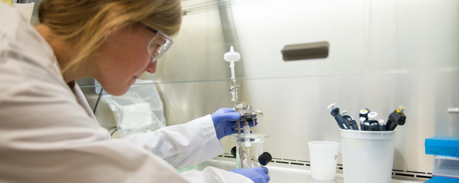 Biomedical Engineering - PhD | Faculty of Graduate Studies | University of Calgary